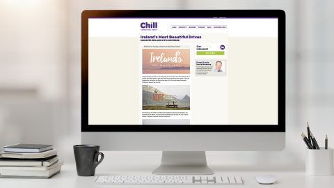 Chill Insurance Organic Search (SEO) Case Study - Click Consult