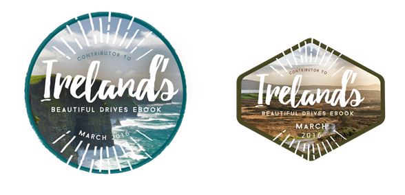 Chill Insurance Organic Search (SEO) Case Study - Click Consult