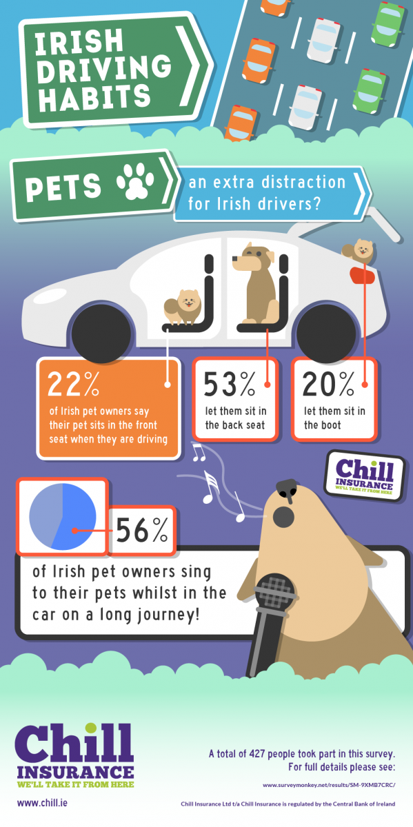 Chill Insurance Organic Search (SEO) Case Study - Click Consult