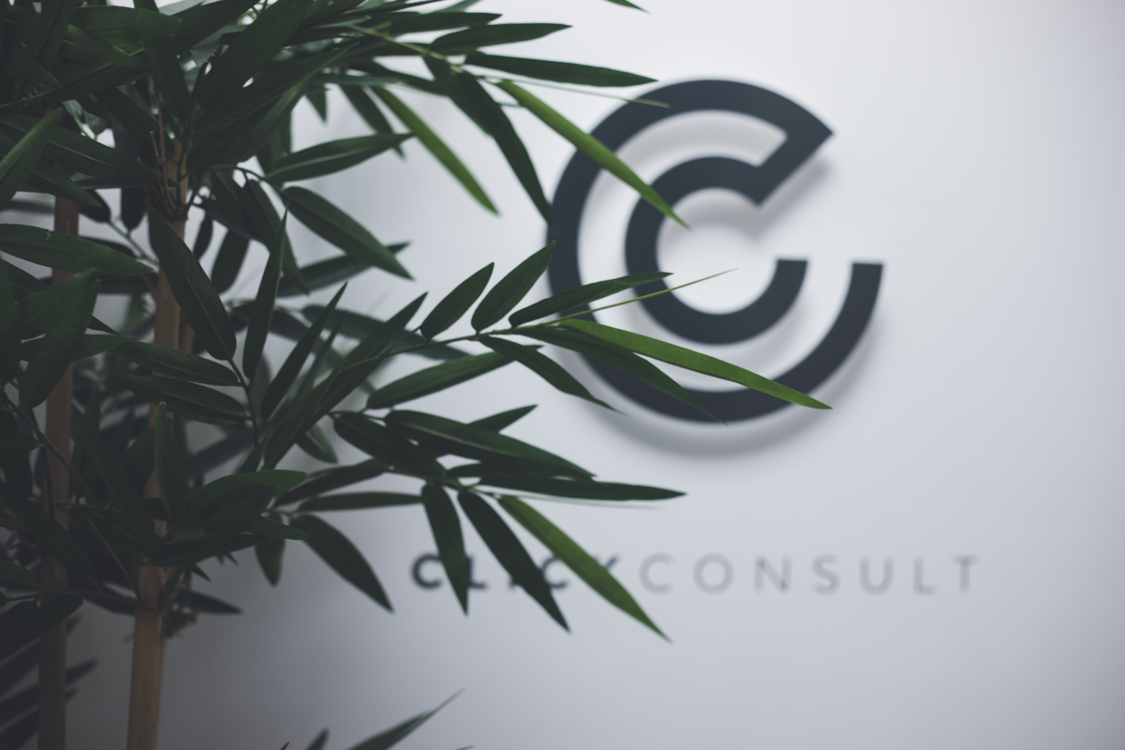 Careers | Latest Digital Marketing Roles | Click Consult